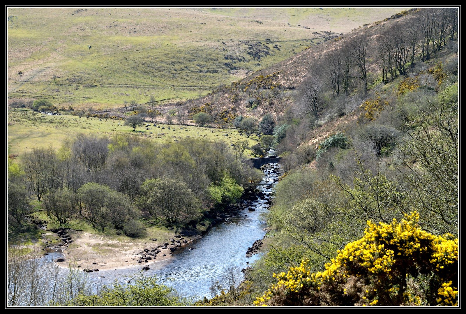 Lee's Walking Adventures UK: Meldon Reservoir and Black Tor Walk (Dartmoor)