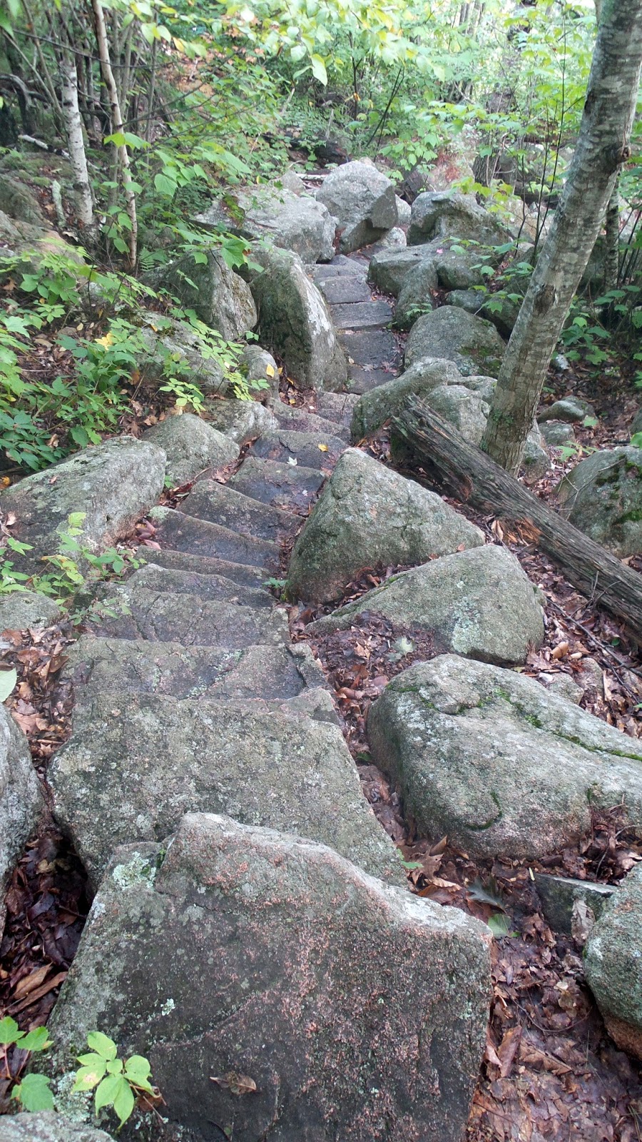 HIKING TRAILS OF ACADIA NATIONAL PARK
