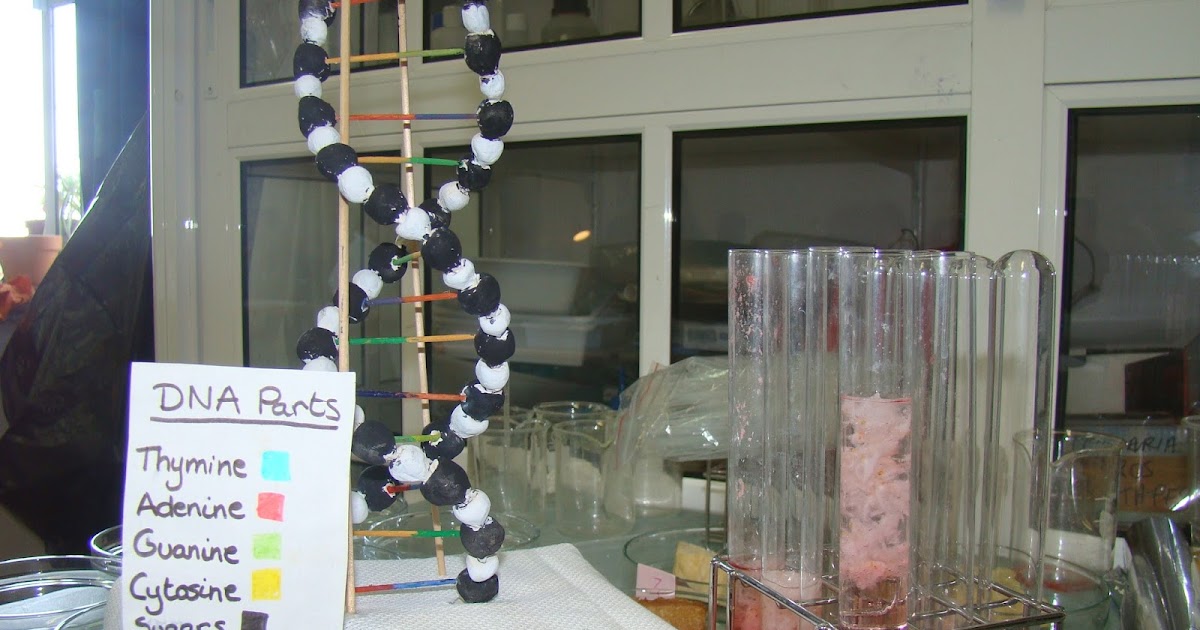 Science Magazine: DNA Extraction From Strawberries- Science fair ...