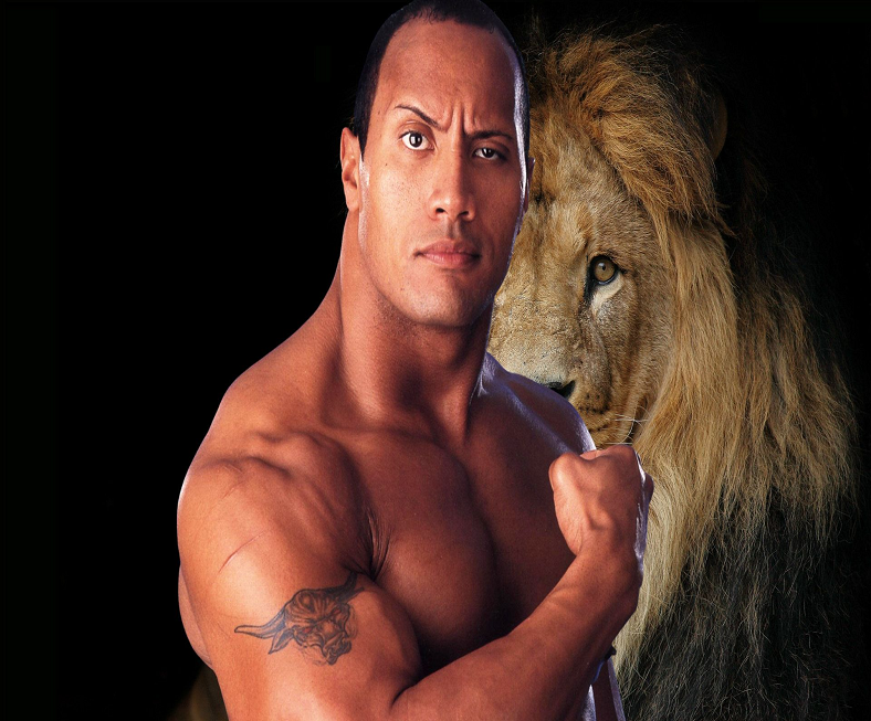 Free HD Wallpapers: Dwayne Johnson (The Rock) Hd Free Wallpapers