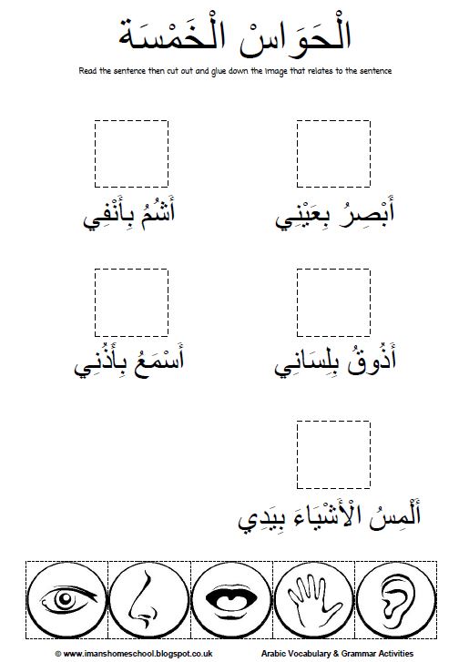 Iman's Home-School: Al-Hawaas al-Khamsah (The 5 Senses) - An Arabic ...