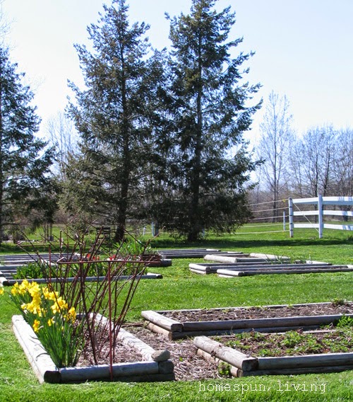 homespun living: the wonderful month of May