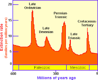The Sixth Mass Extinction: Will humans be the cause of the Sixth Mass ...
