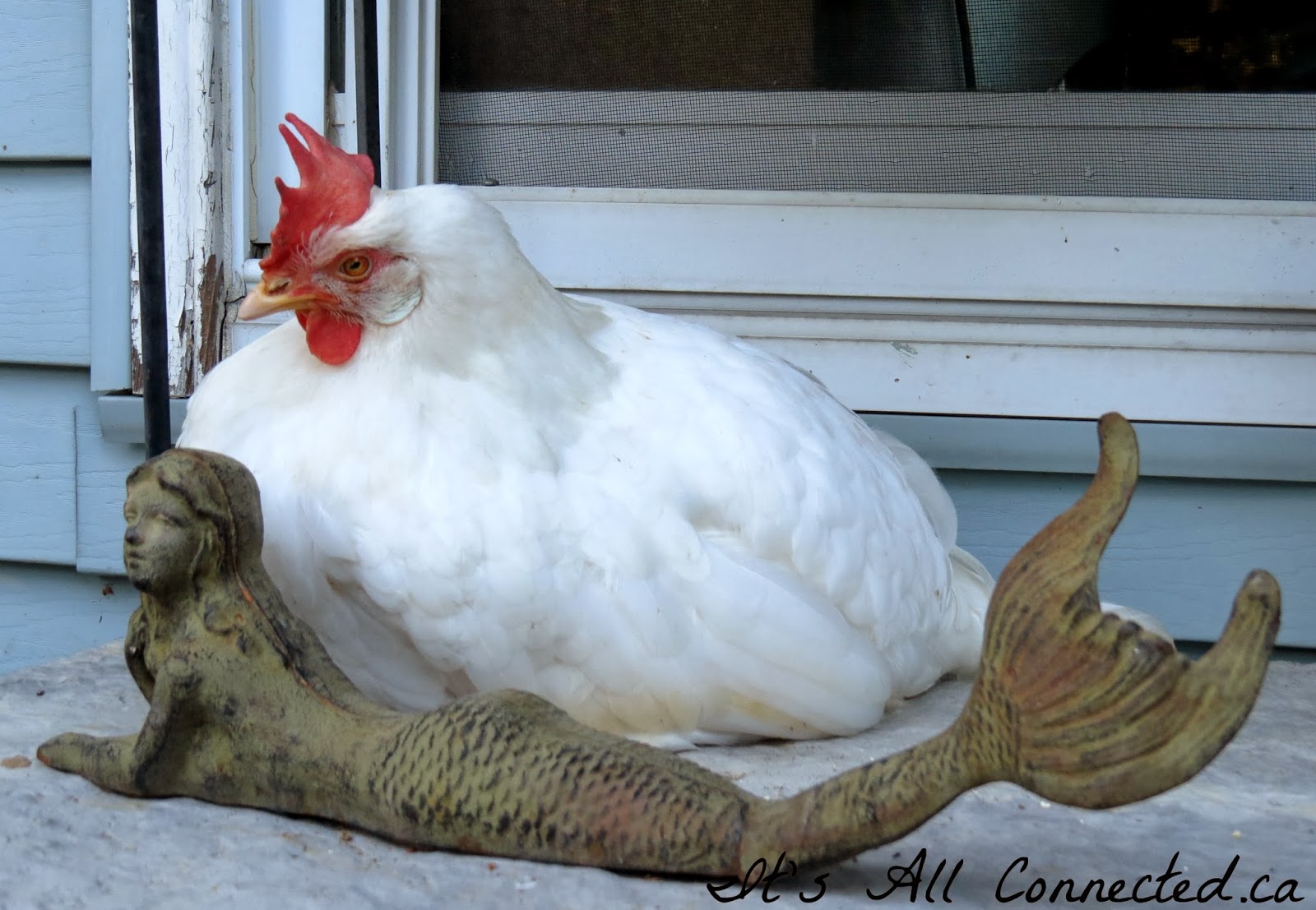 It's All Connected: September 2013