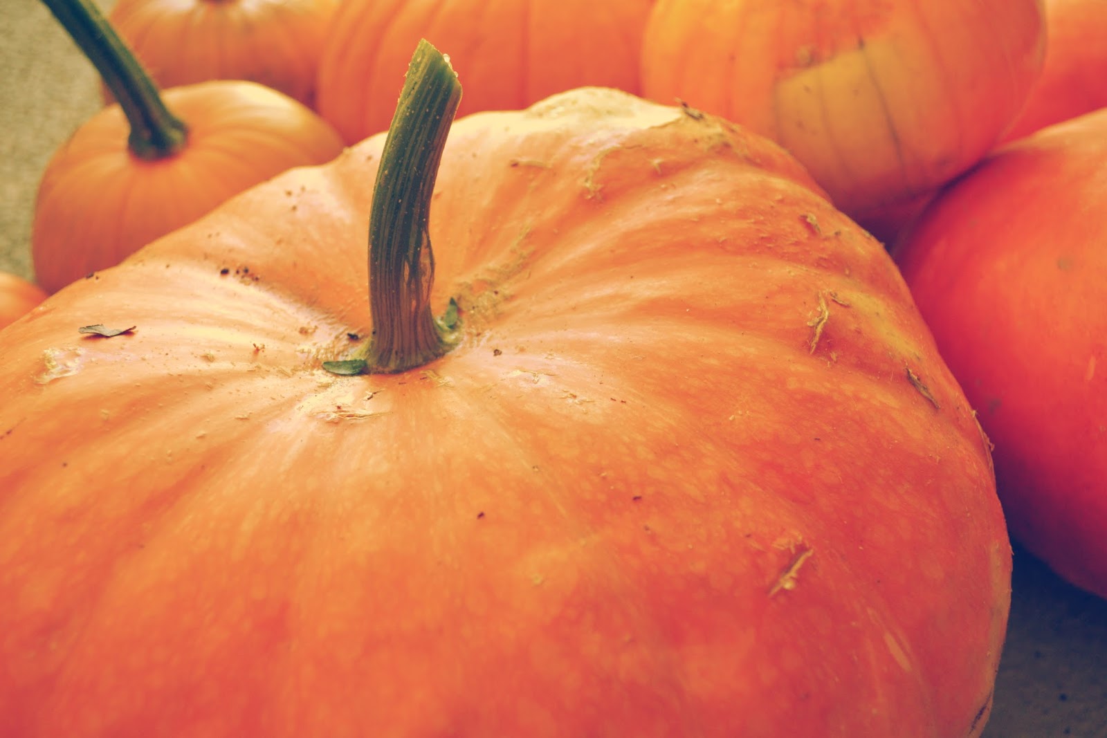 Quantrell Quips: Early Pumpkin Harvest