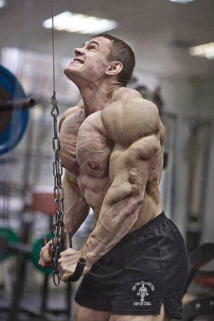 INSANE PHYSIQUES: 7 Tips To Gain Muscles Size (Guarantee)