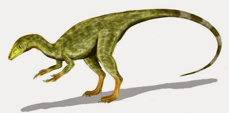 SPOWECK: DINOSAURUS PALING KECIL DI DUNIA