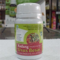DAFTAR OBAT HERBAL / OBAT TRADISIONAL: OBAT HERBAL RADANG USUS BESAR