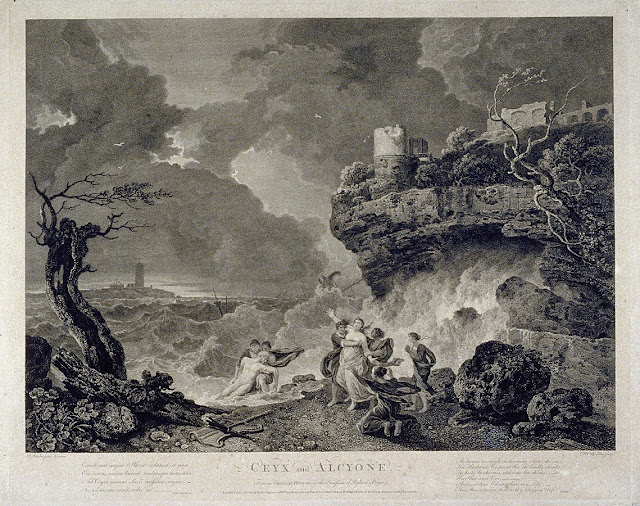 The Latest Word: Halcyon