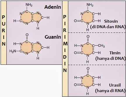 Dream Big: Oktober 2013