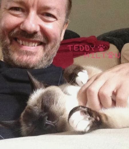 Комедийный актер Рики Джервейс о любви к животным: «Доброта есть ...