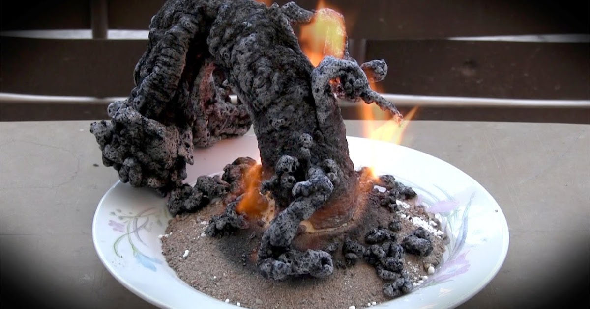 La serpiente del faraón ~ CD NTRA. SRA. DE LAS NIEVES