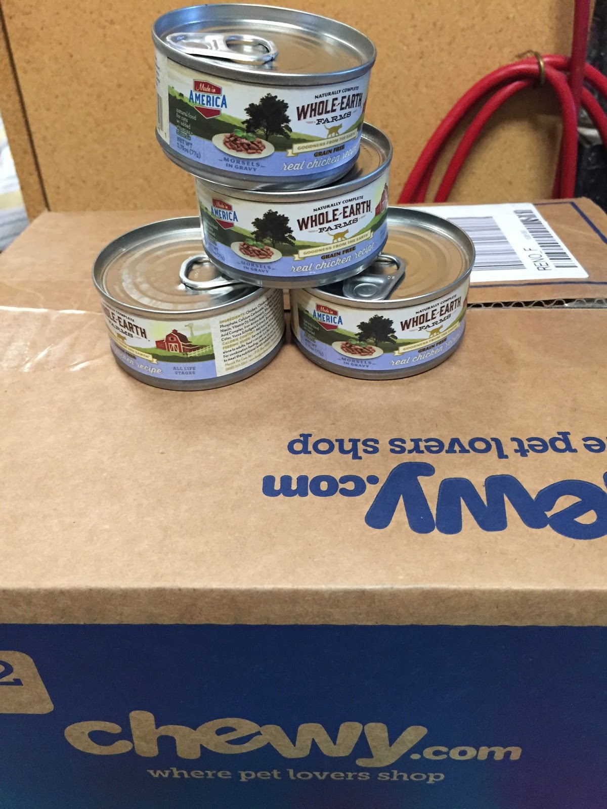 A Bowl of Noodles©: Sunshine the Cat Weighs In - but Not Like You Think