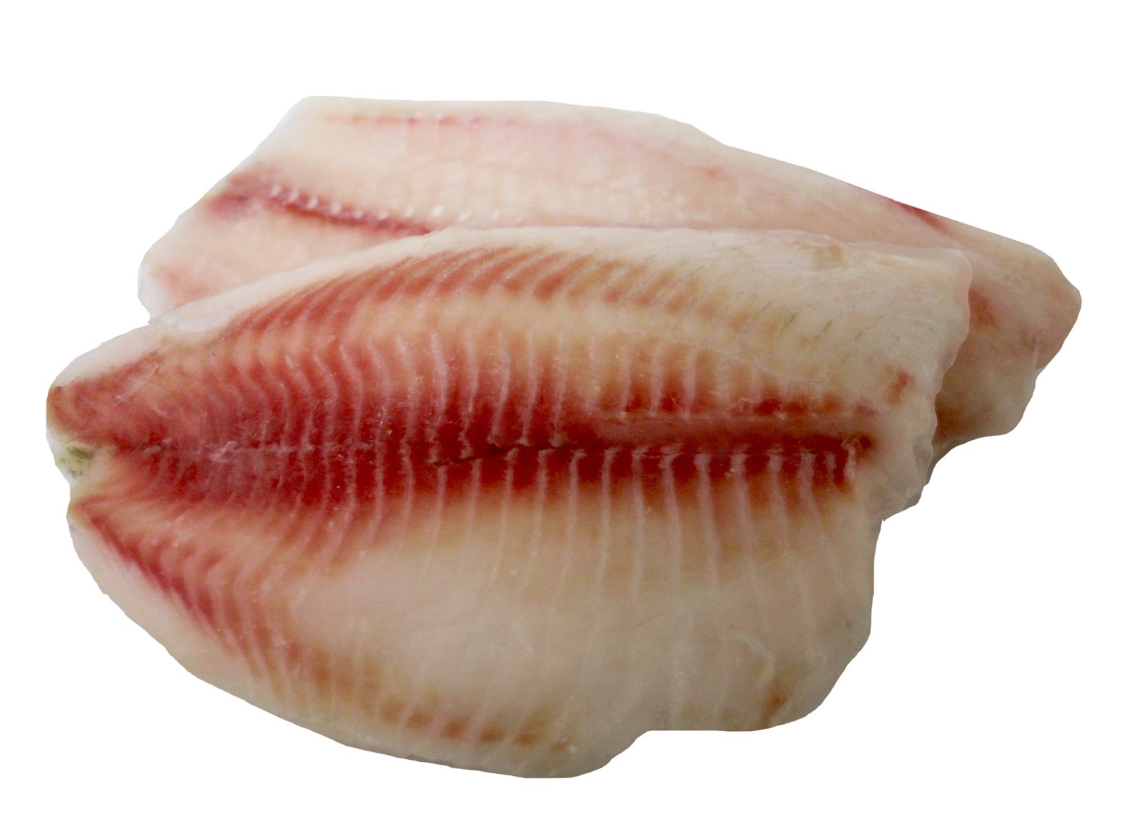 Milkfish Fillet Price is So Affordable to Buy! - Frozen Milkfish, Buy ...