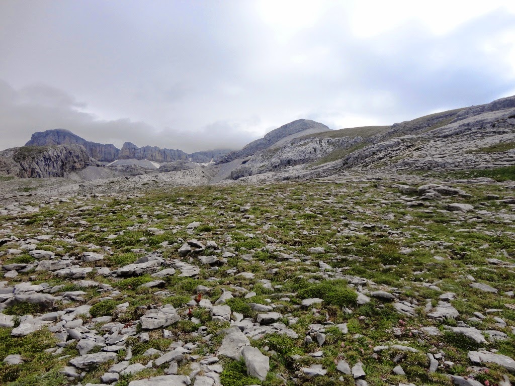 Montesymasdebucuesa: 48-14. SAMOLA BAJA DESDE LA FUENTE DEL PACO. 5-7-2014.