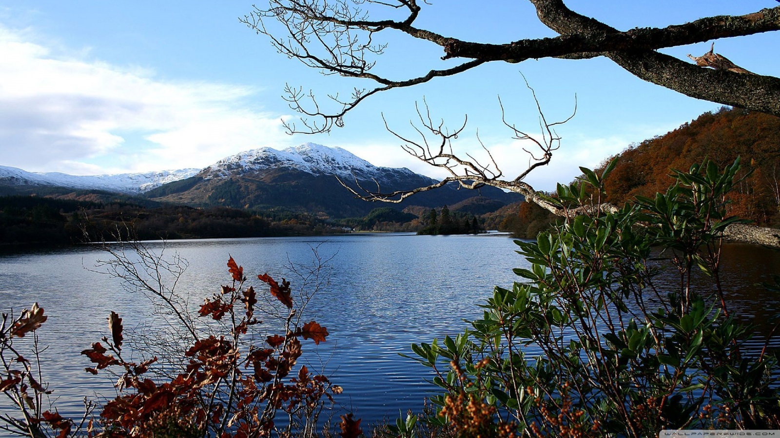 Collections: 1200X900 wallpapers