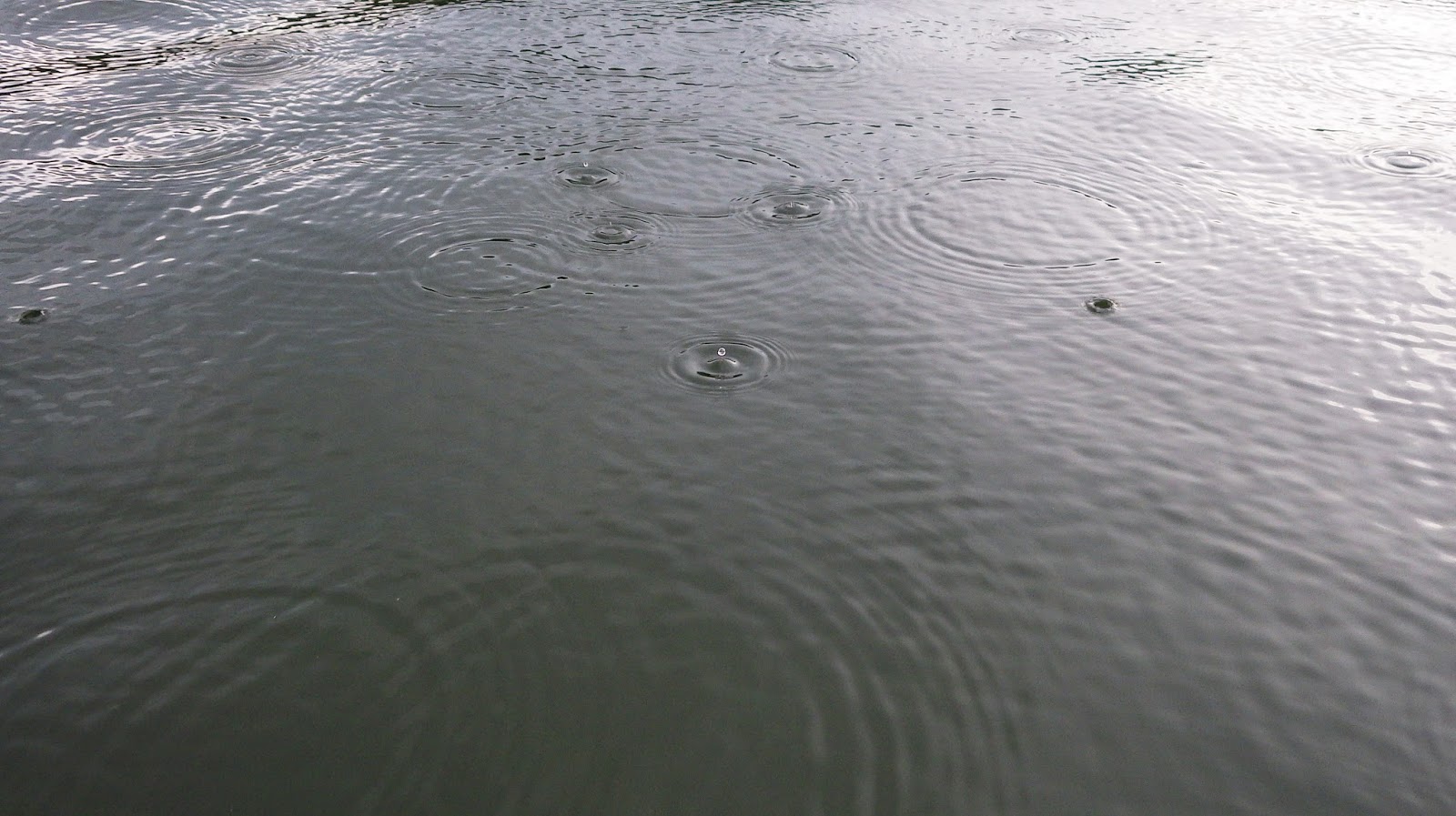 Riffles and Slicks: Non-existent Fish