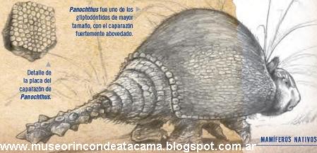 Museo Municipal Rincon de Atacama. Termas de Rio Hondo. (Sitio Oficial ...