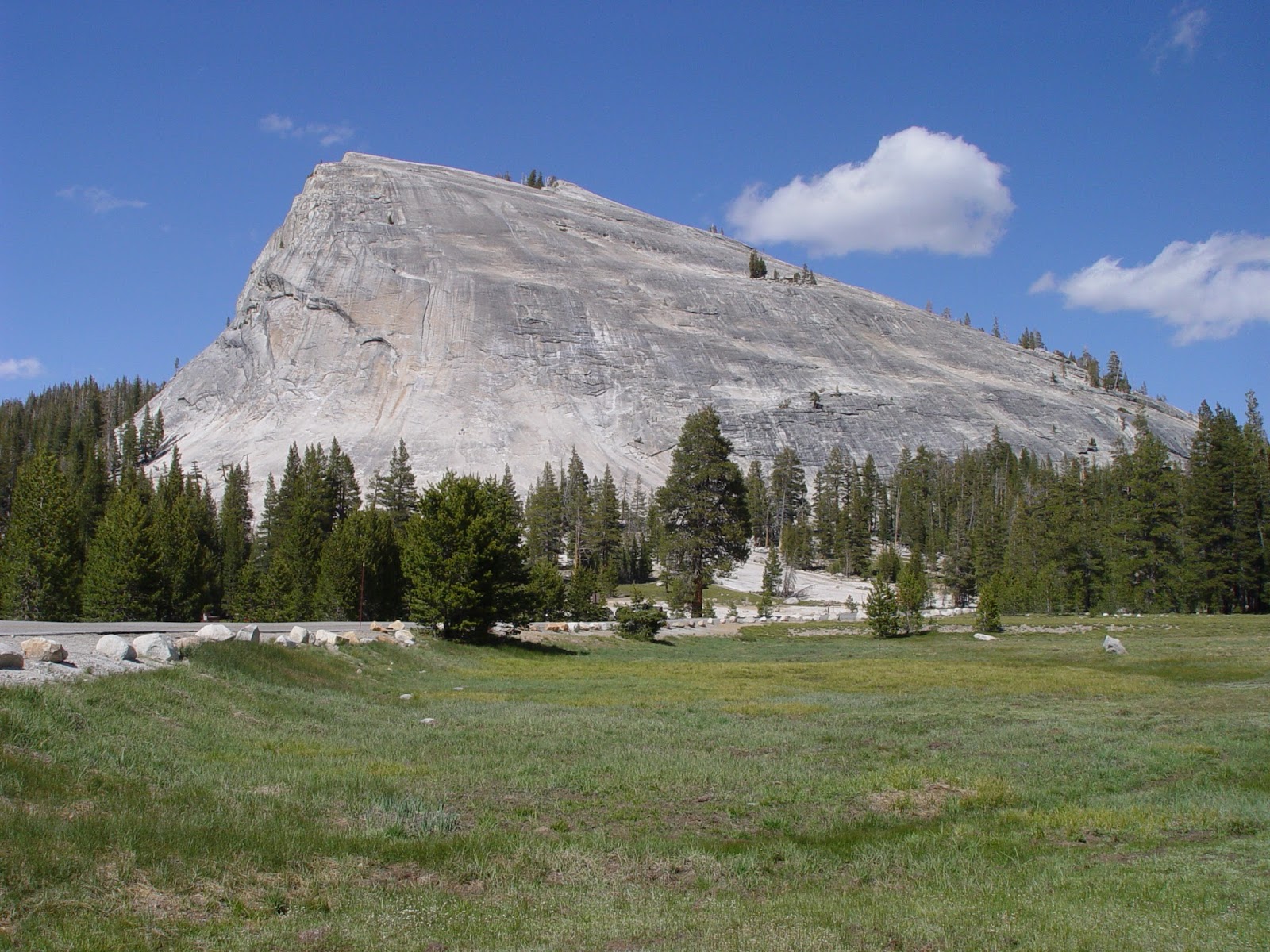 Geotripper: Feeling a Bit Sheepish: A Bit of Glacial Mutton in the ...