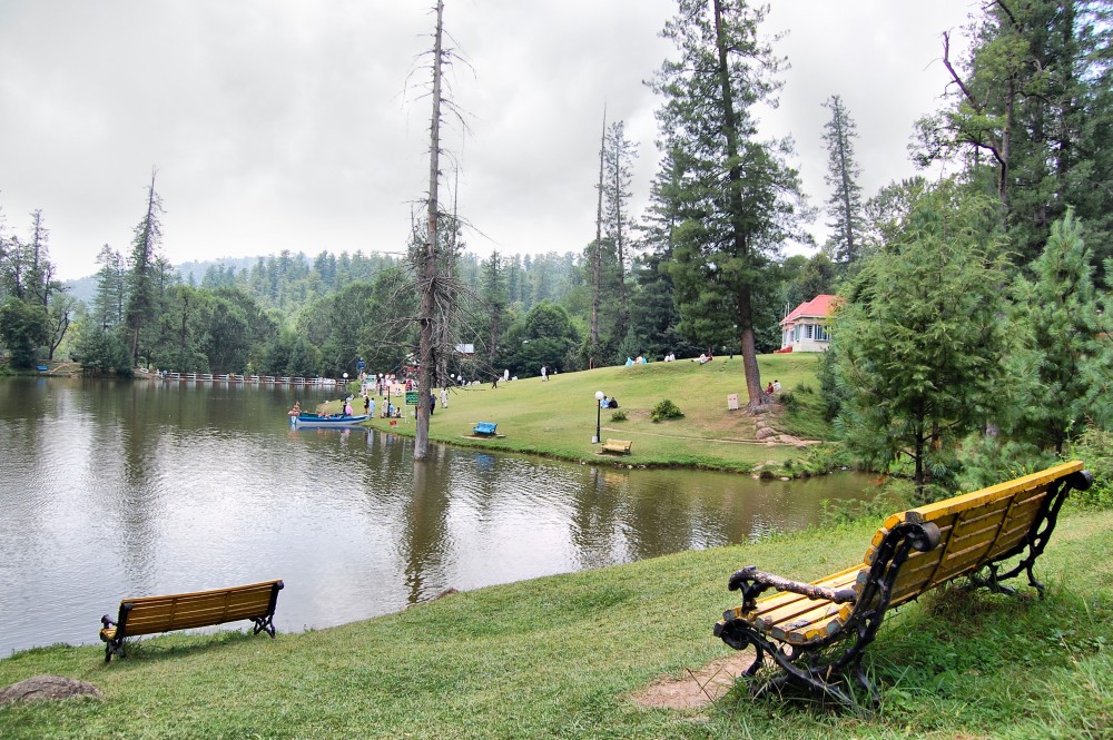 beauty of kashmir: ABOUT TOli peer and BANJOSA