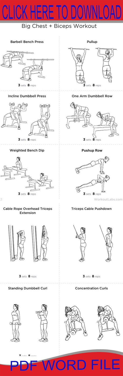 Workout: Bicep Workouts