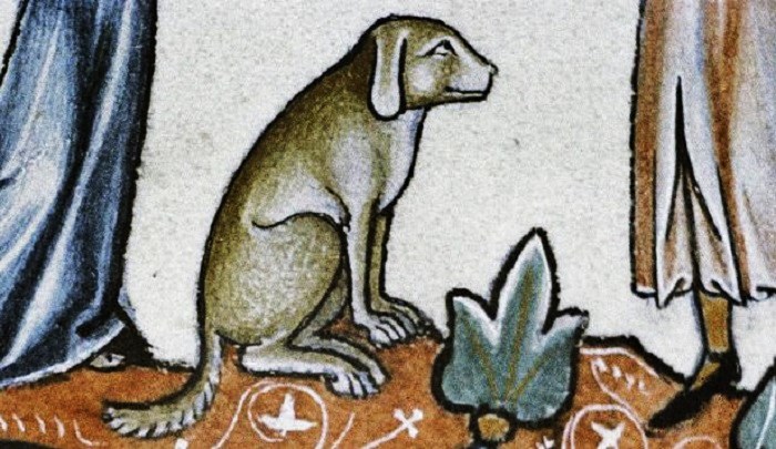 Dogs from the Middle Ages: belkomor — LiveJournal