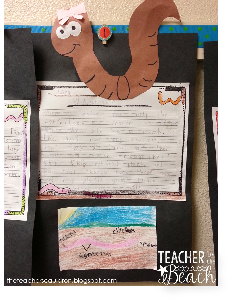 Fun with WORMS! - Teacher by the Beach