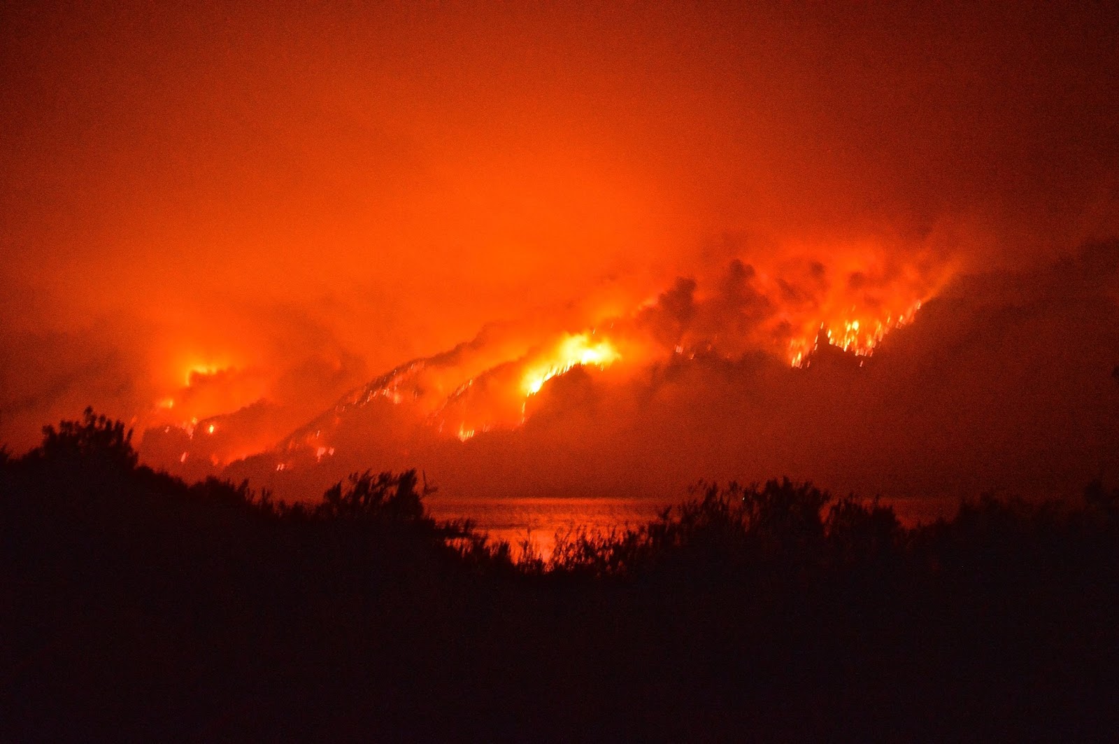 Teresa Kasner: Fire Apocalypse