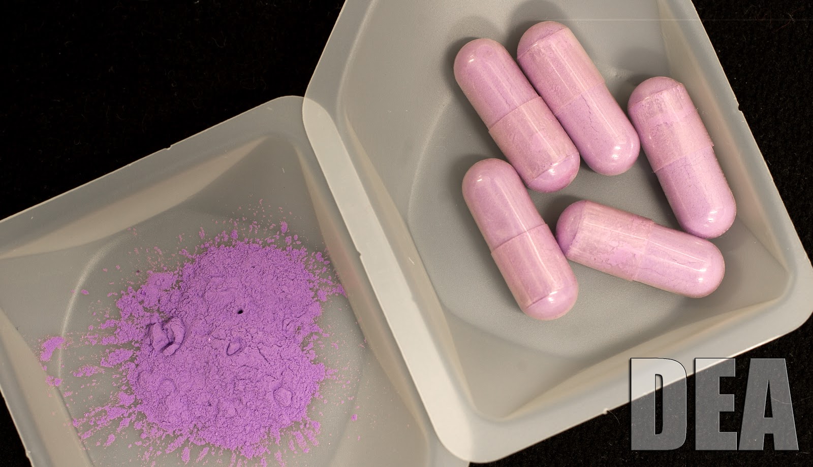 States of the Human Mind: Aralık 2012