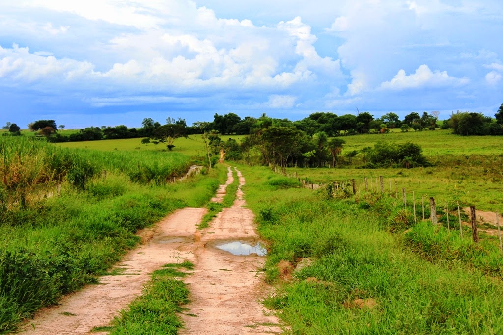 FOTOS FEITAS NA ZONA RURAL DO MUNICÍPIO DE SABINO - ESTADO DE SÃO PAULO