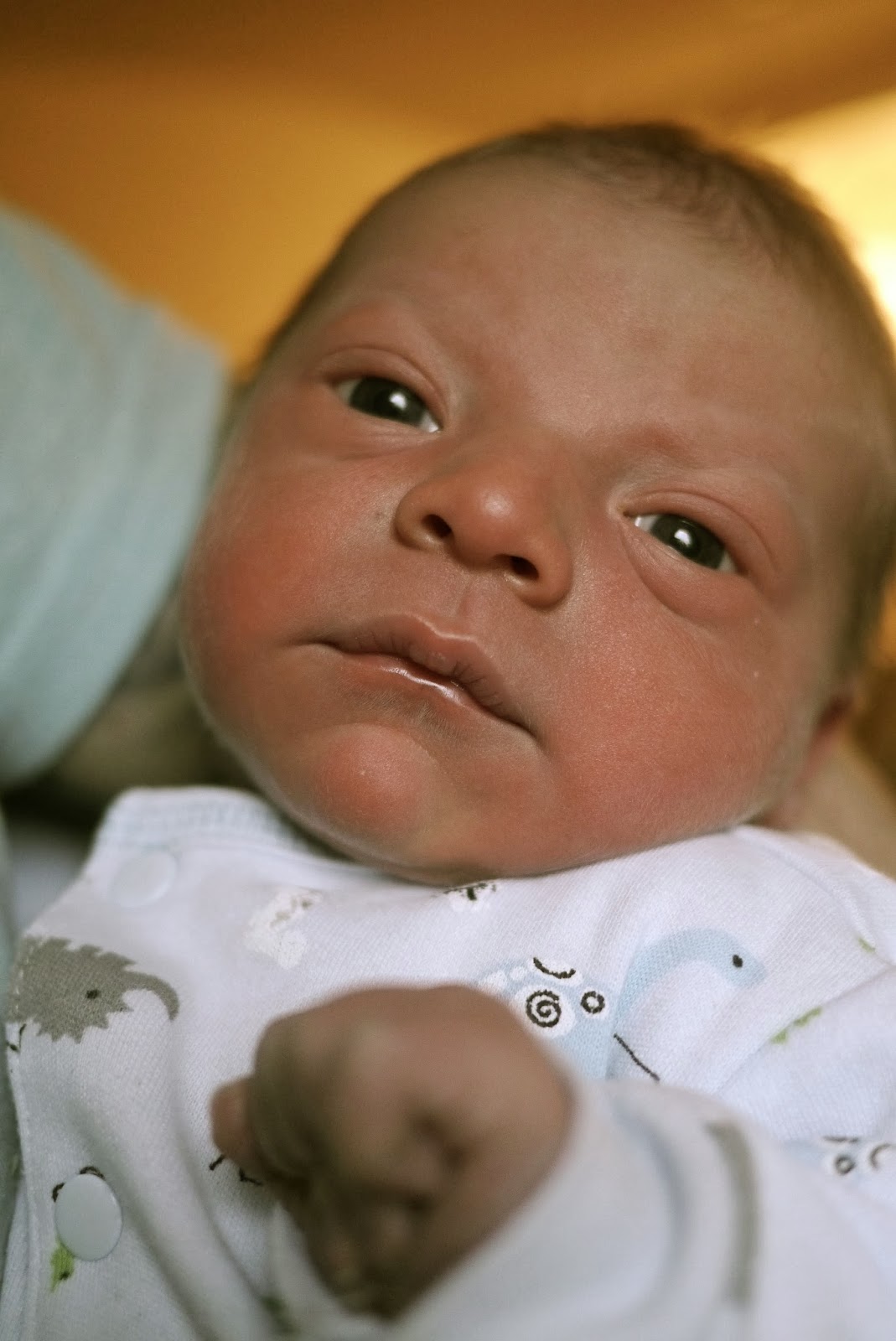 Jonah Frank's Instagram, Twitter & Facebook on IDCrawl