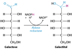 Ur Medstudy FREE Medical MCQs online: Ur Medstudy MCQ 52