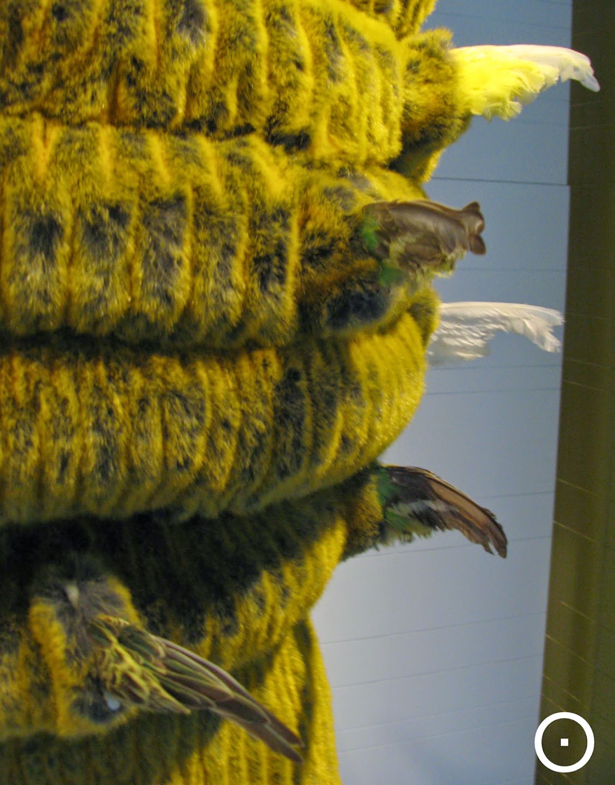 eyeAm viewOnRetail: May 2014