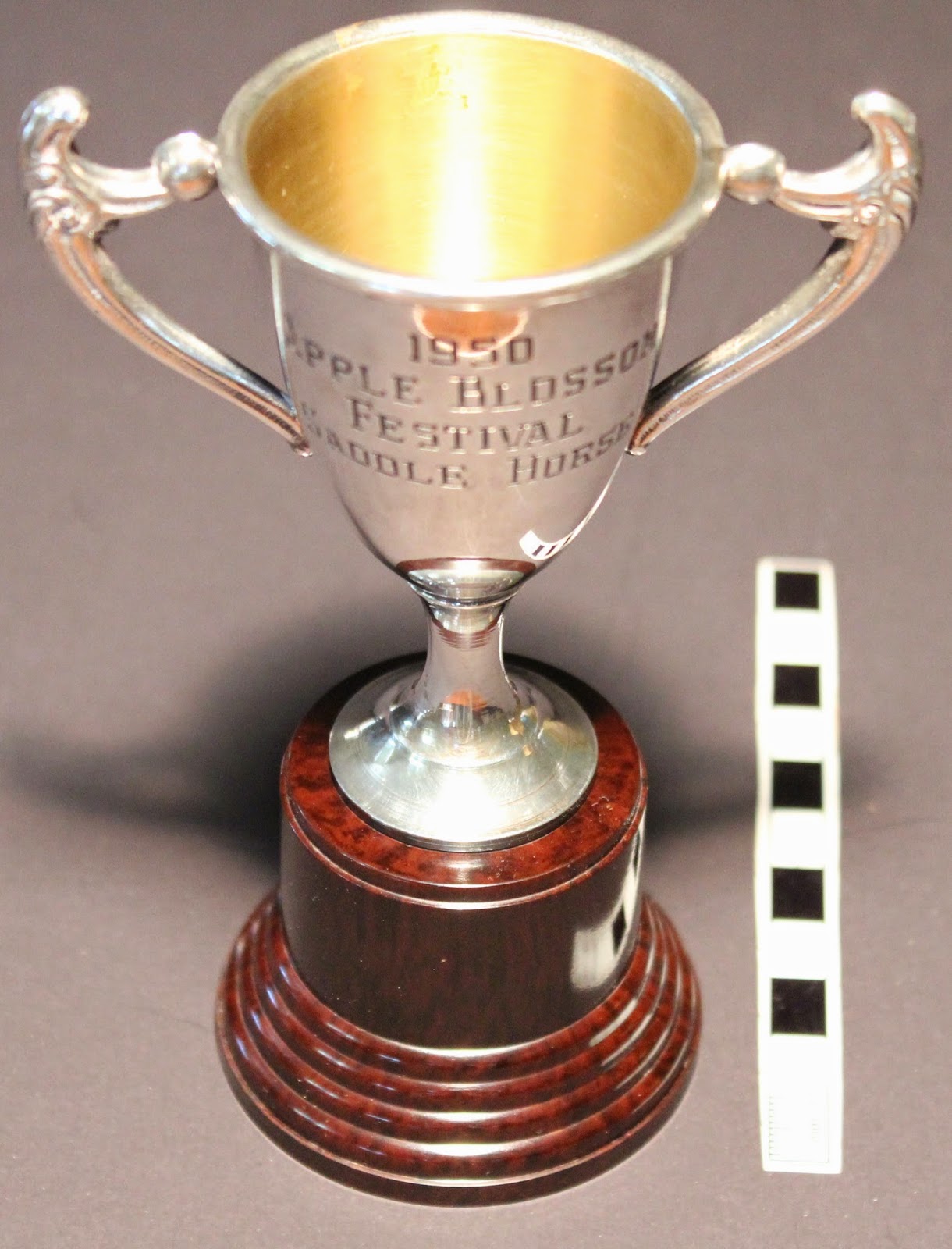 Kelly's Conservation Corner: April 2014