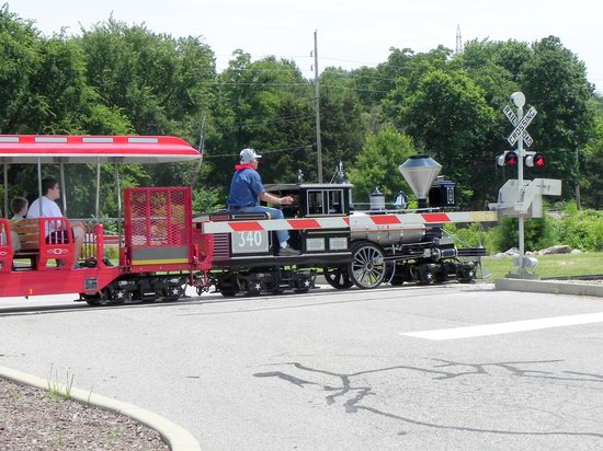 St Louis Zoo Train Tickets | semashow.com