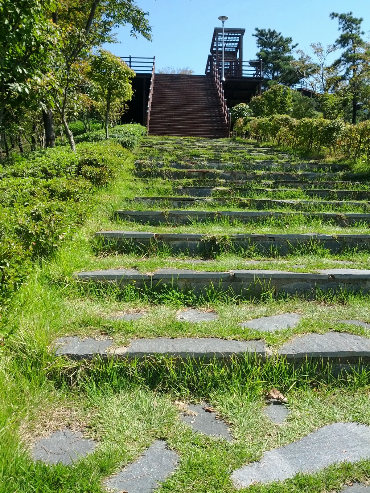 Inspiration and Exploration: Wando, South Korea