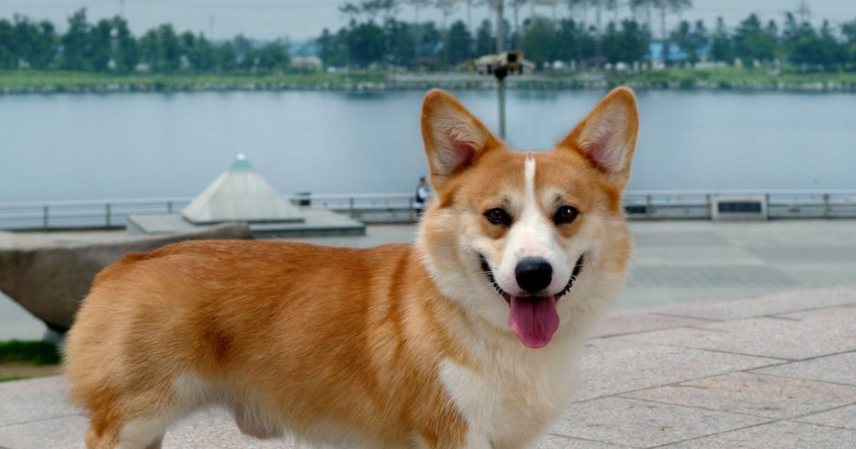 Sierra Sentinel News- Serving The Sierra Nevada Communities: Who is ...