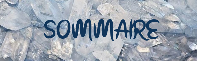 Camillecture: Sommaire