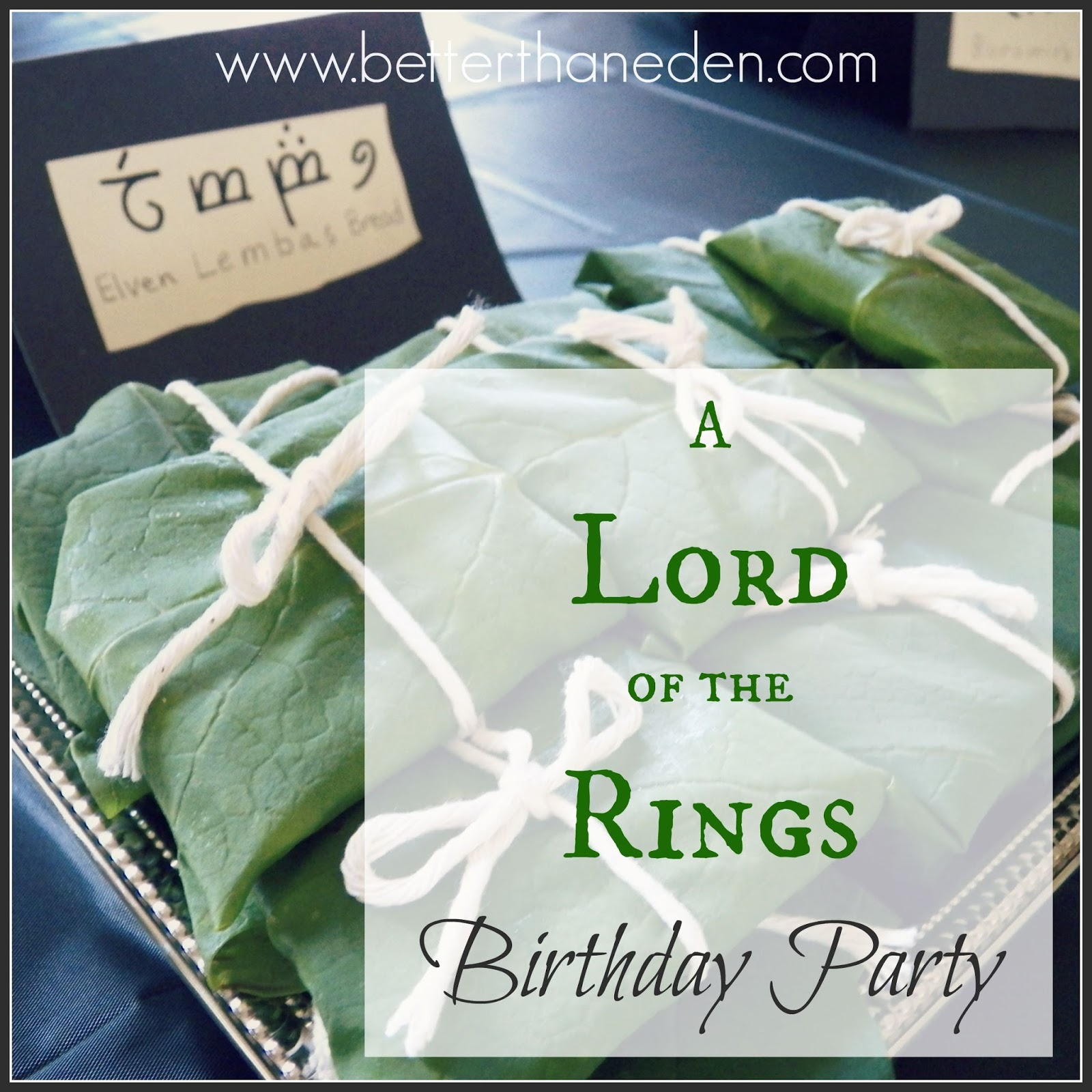 Lord Of The Rings Birthday Party