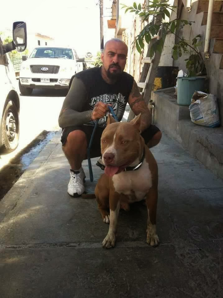 No se dibujar: Dibujando a Babo' cartel de santa.