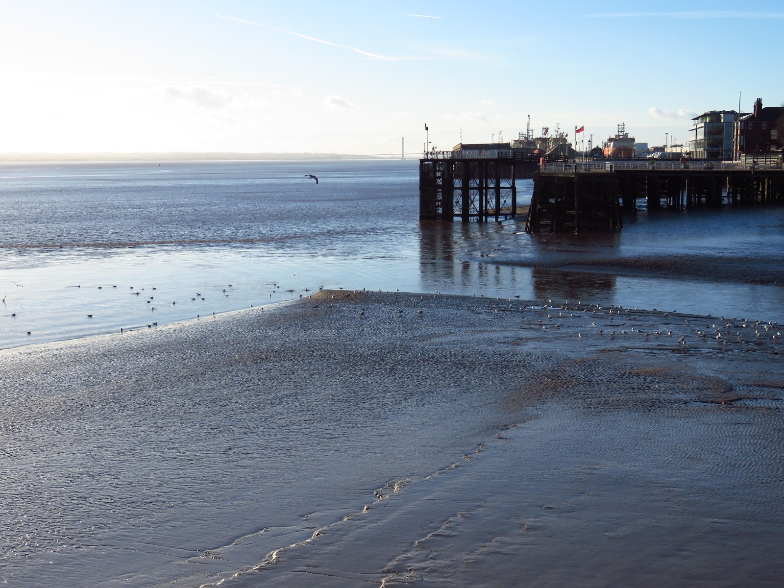 Wild at Hull: Up the River Hull. 1. The Deep to Air Street