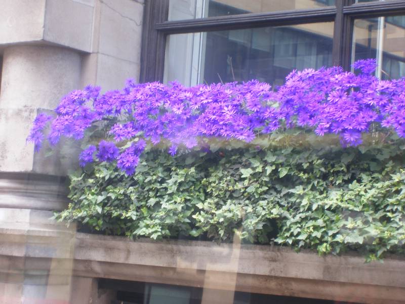 London buses one bus at a time: the return: The Number 214 Route