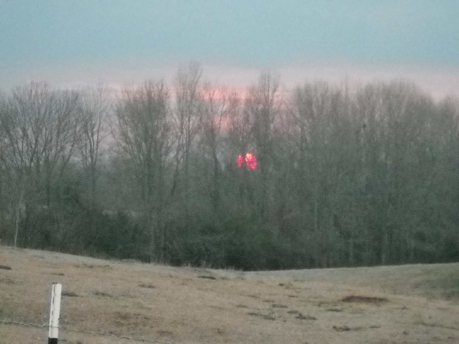 Gold Hill Plant Farm: Giant Red Ball