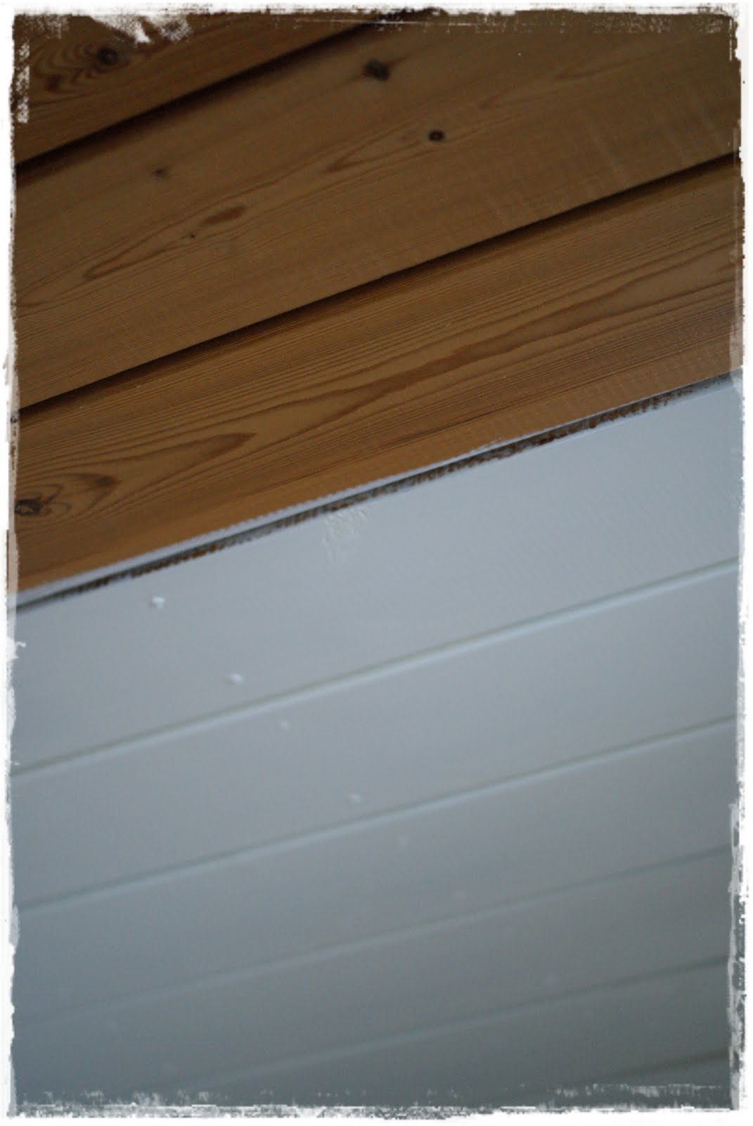 Amelian unelma: Operaatio valkoinen katto