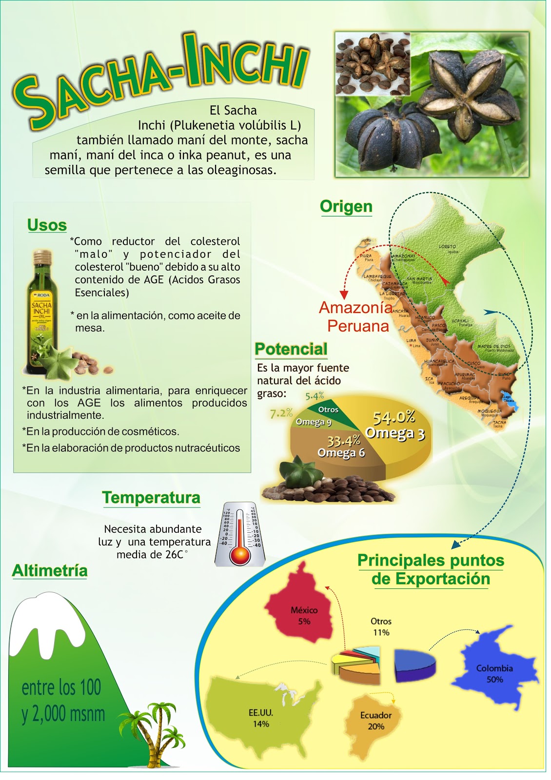 Buy - P: Infografía Sacha-Inchi