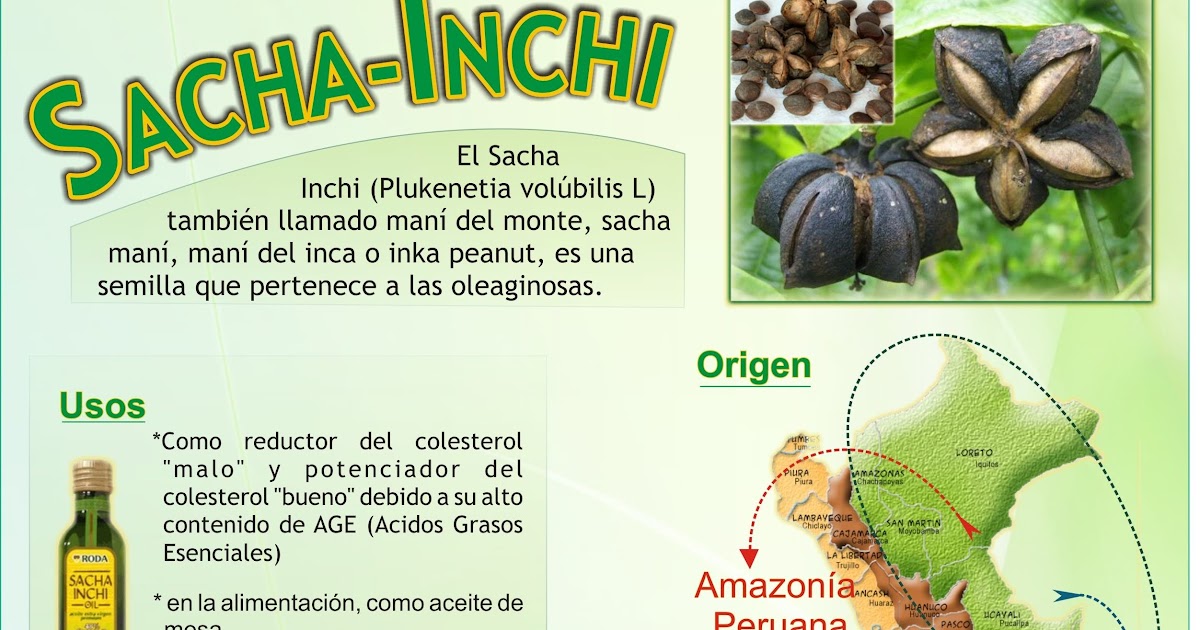 Buy - P: Infografía Sacha-Inchi