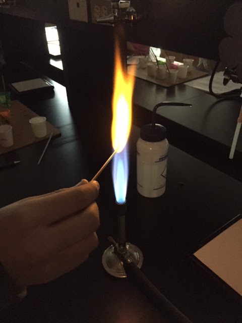KaylaThuetsBlog: Flame test lab