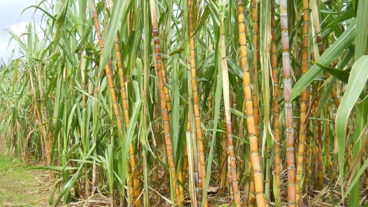 GEOGRAFI LINGKUNGAN: November 2013