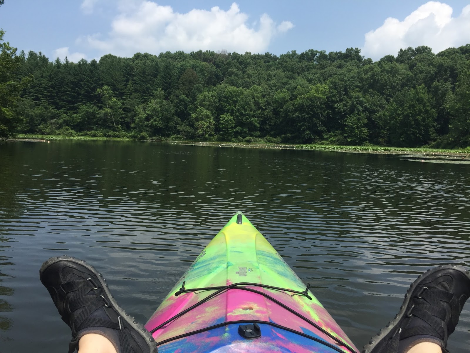 Kayaking Across Ohio: Lake Rupert: Damselflies' Playground