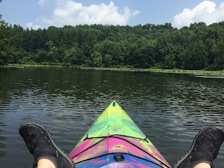 Kayaking Across Ohio: Lake Rupert: Damselflies' Playground